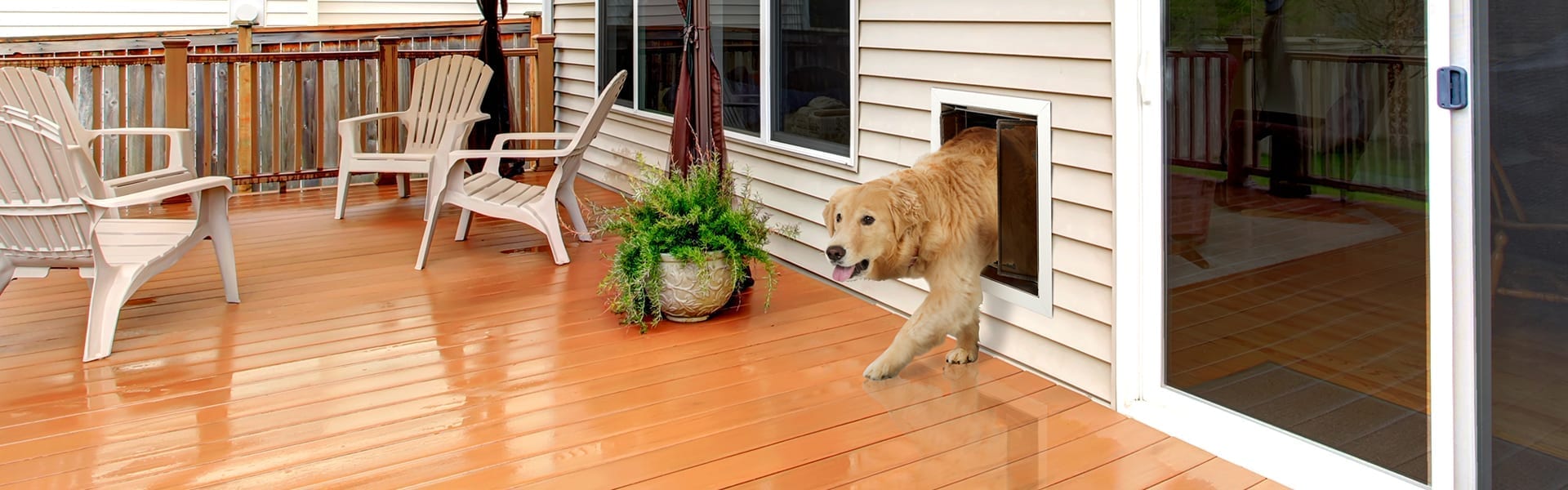 Home [plexidors.com]